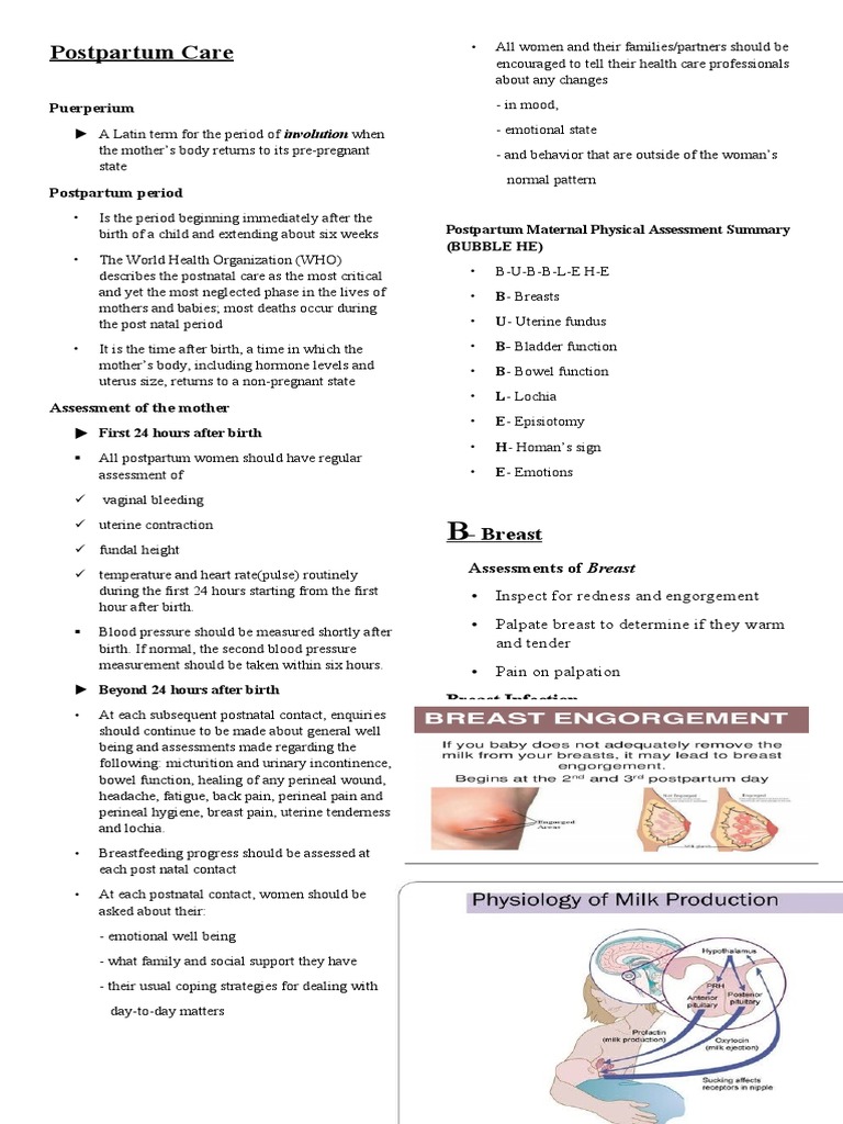 Postpartum Care: Puerperium | PDF | Postpartum Period | Uterus