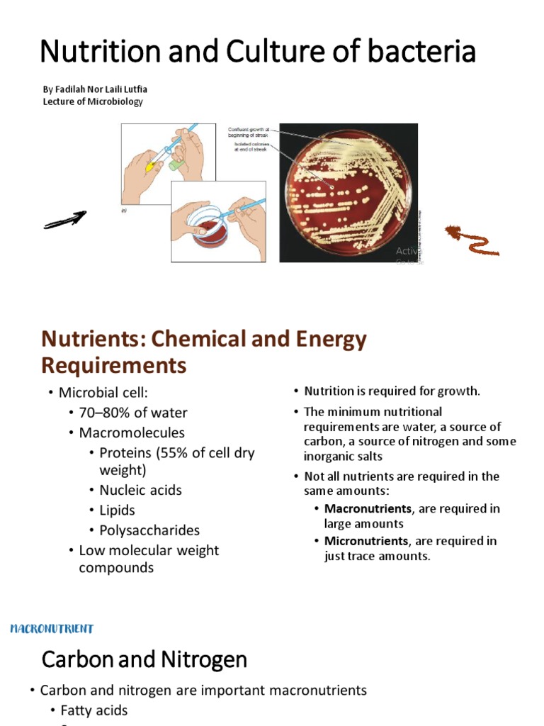 Understanding the Nutritional Requirements and Growth Conditions of ...
