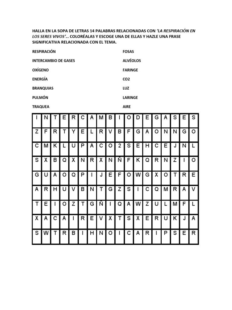 Sopa de letras: respiración y seres vivos | PDF