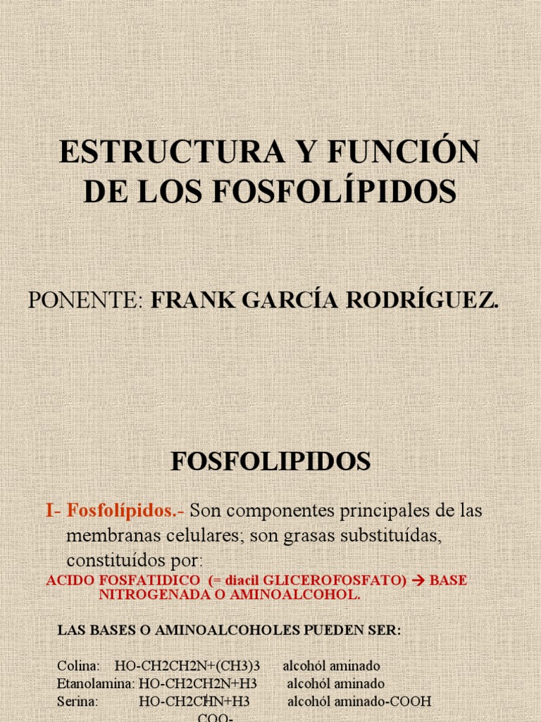 Estructura Y Función de Los Fosfolípidos: Ponente: Frank García ...