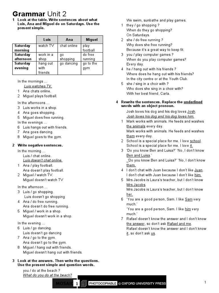 Grammar Unit 2: Josh Loves His Dog and His Dog Loves Him | PDF ...