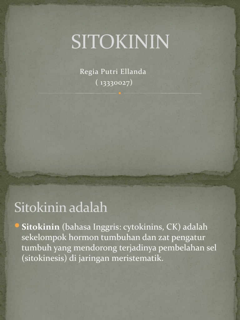 HORMON PERTUMBUHAN TANAMAN: SITOKININ | PDF