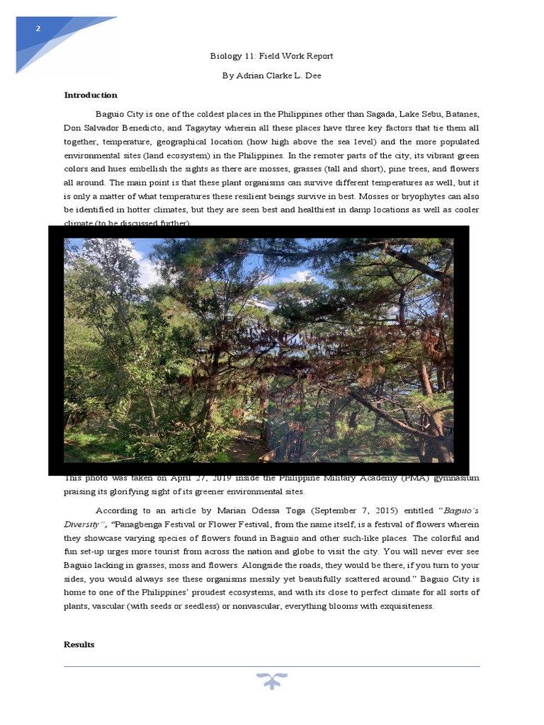 Baguio City Plant Field Report | PDF | Organisms | Plants