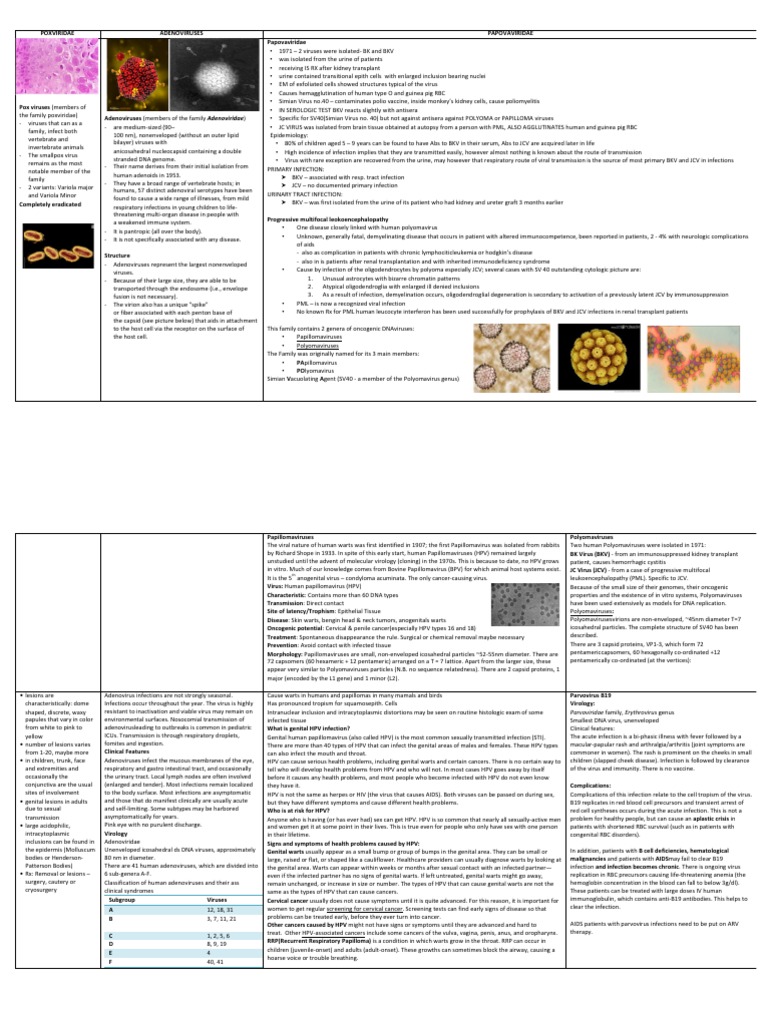 Overview of Poxviridae, Adenoviruses, and Papovaviridae | PDF | Virus ...