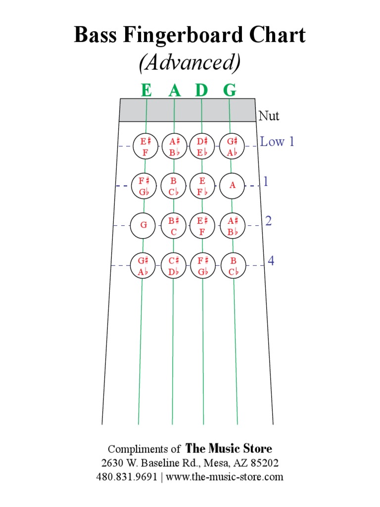 Bass Fingerboard Chart Adv PDF | PDF