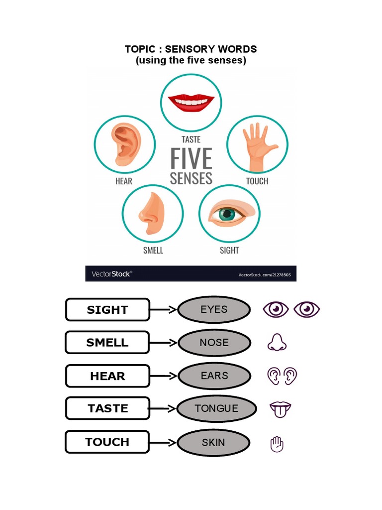 SENSORY WORDS - Introduction | PDF | Self-Improvement