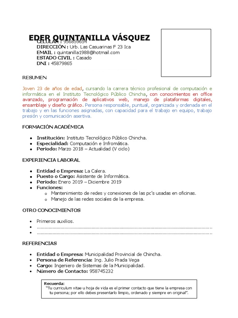 Modelo de Curriculum Vitae (Lleno Ejemplo) | PDF