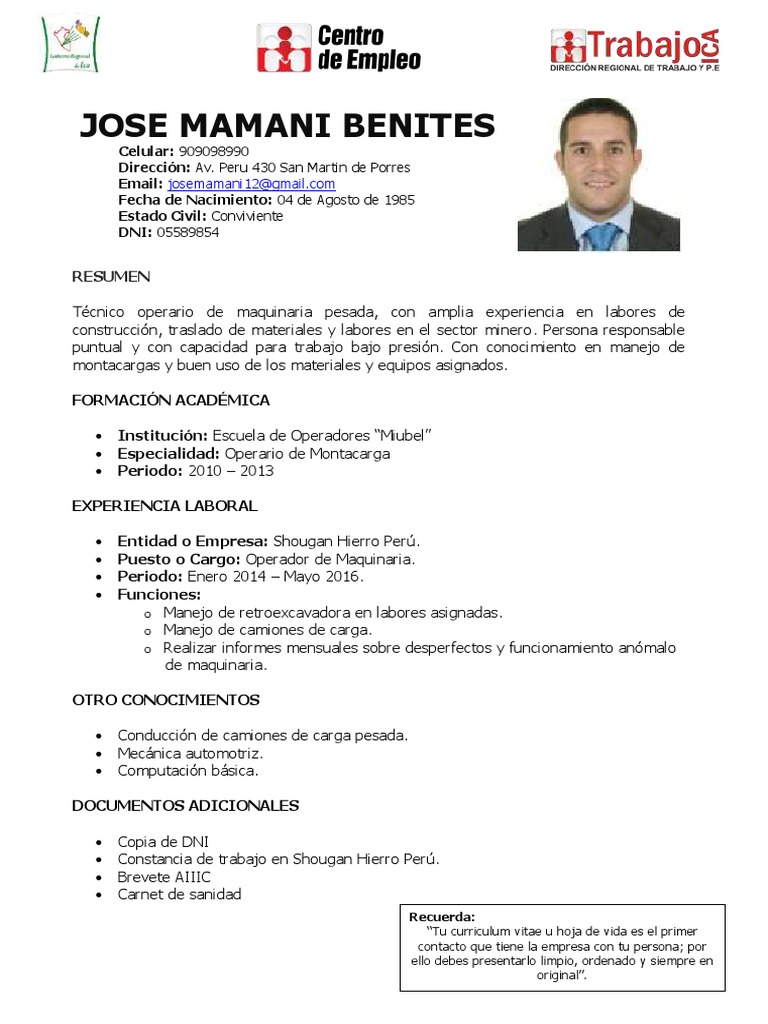 Modelo de Curriculum Vitae (Lleno Ejm.) | PDF