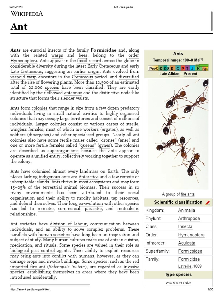 Ant PDF | PDF | Ant | Eusociality