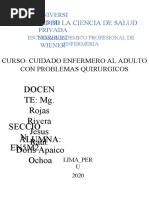 SESIÓN 11 Cuarta Fase PAE-ejecucion | PDF | Enfermería | Cuidado de la salud