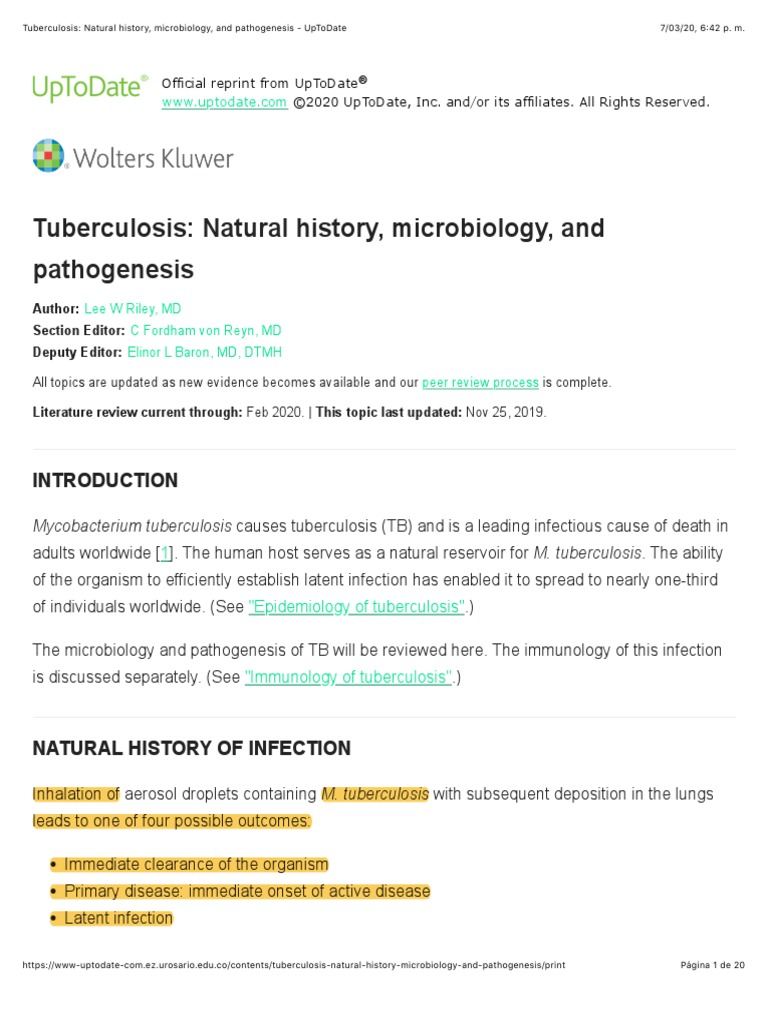 Tuberculosis - Natural History, Microbiology, and Pathogenesis ...