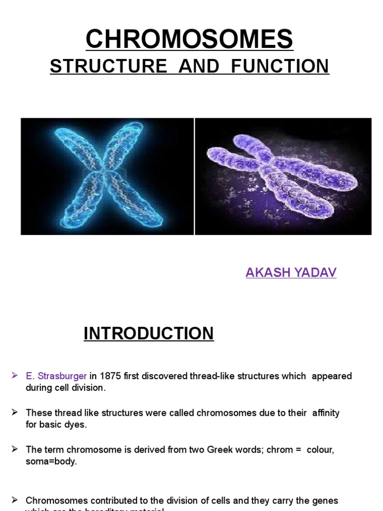 Chromosomes: Structure, Function and Types in 40 Characters | PDF ...