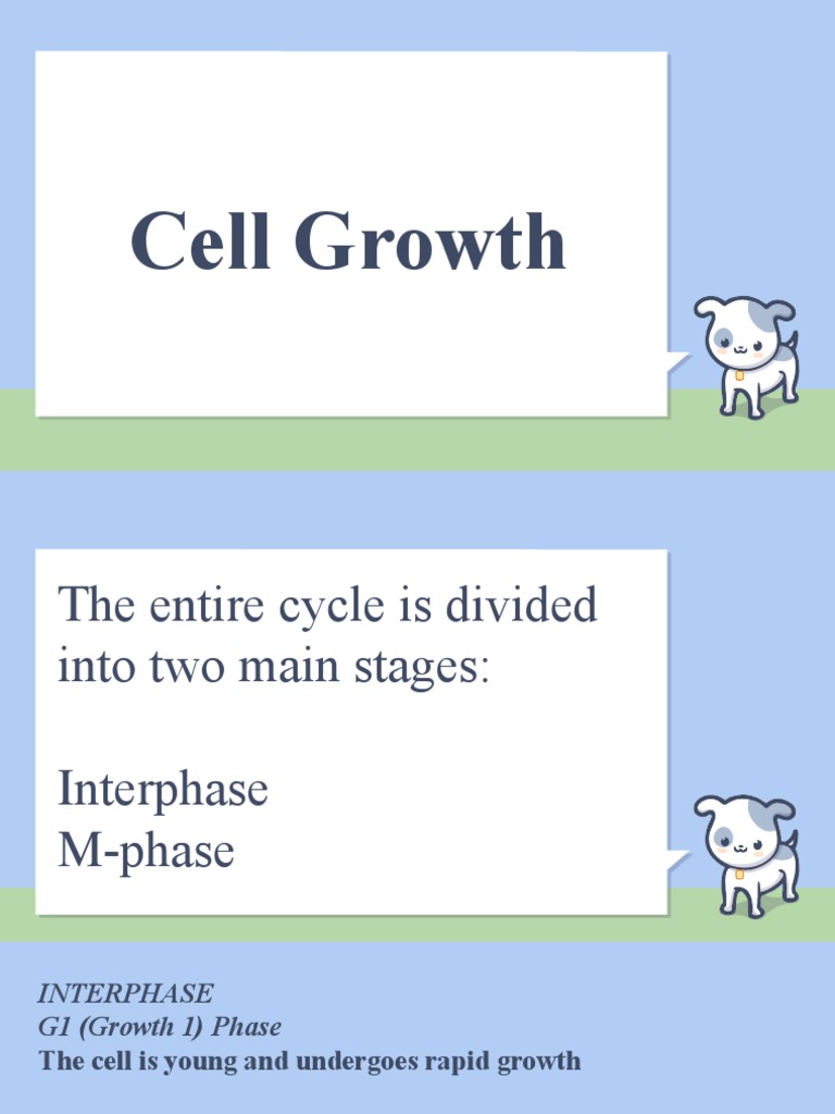 Cell Division Intro | PDF