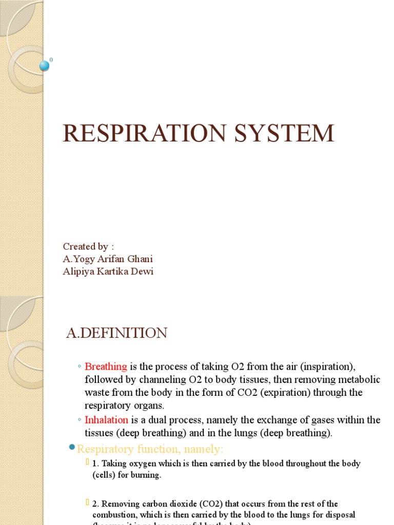 Human Respiratory System Overview | PDF | Wellness | Science & Mathematics
