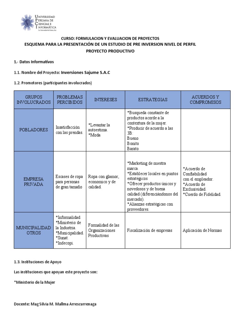 Modelo de Proyecto Productivo | PDF | Marketing | Microeconomía