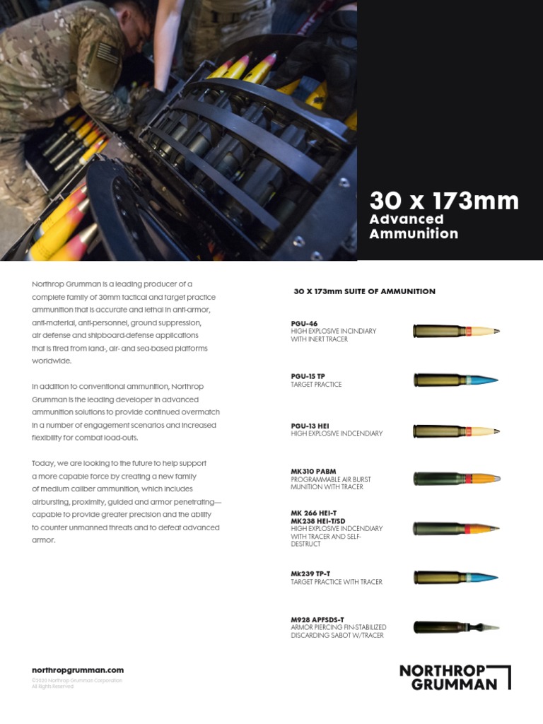 30 X 173mm Full Ammo Suite PDF | PDF | Ammunition | Hazards
