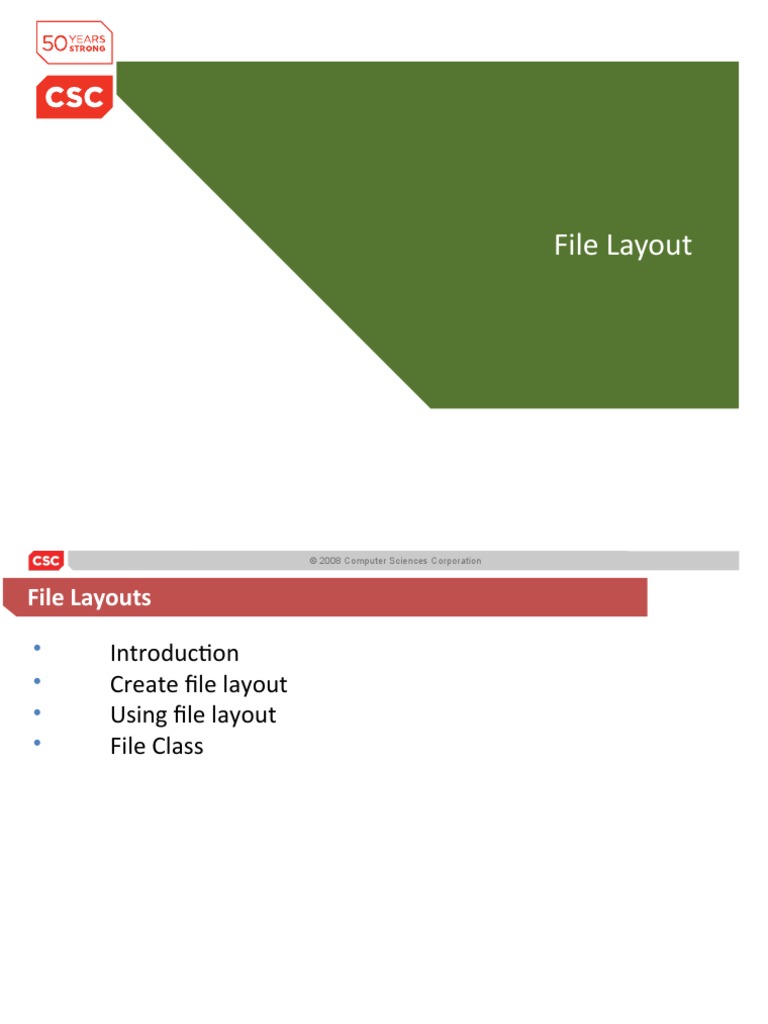 File Layout: © 2008 Computer Sciences Corporation | PDF | Class ...