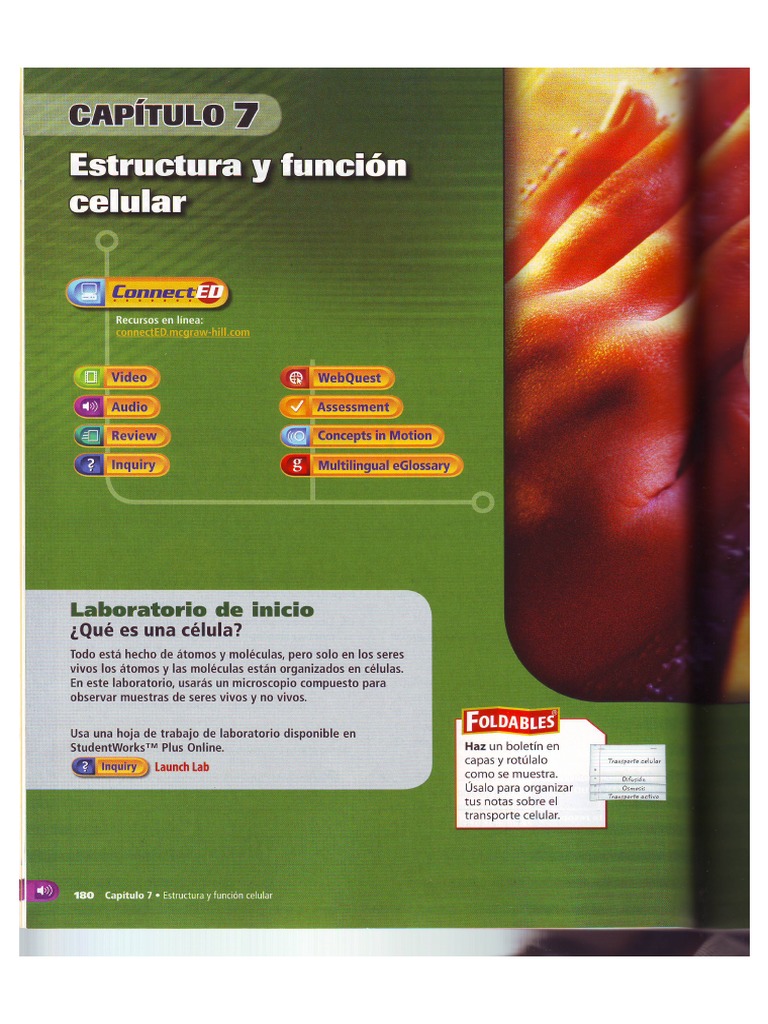 Capitulo 7 - Estructura y Función Celular PDF | PDF