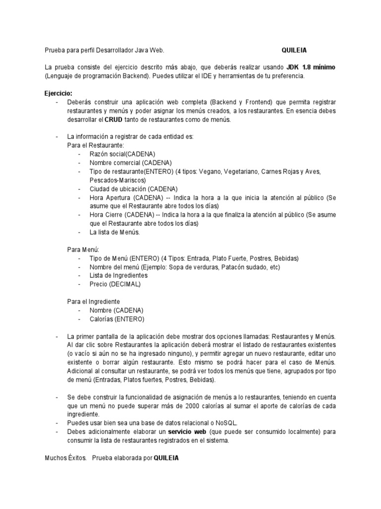 Prueba Desarrollador Java Web | PDF | Java (lenguaje de programación) | Red mundial