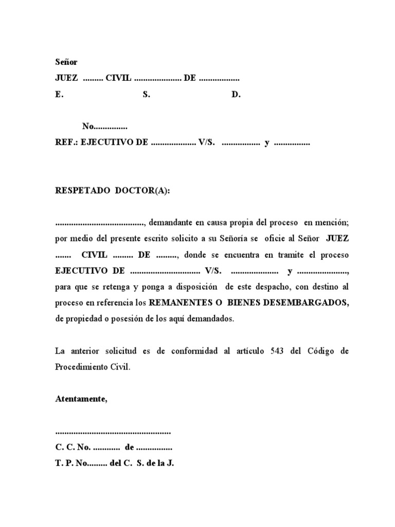 Solicitud de Remanentes y Embargo Bienes | PDF