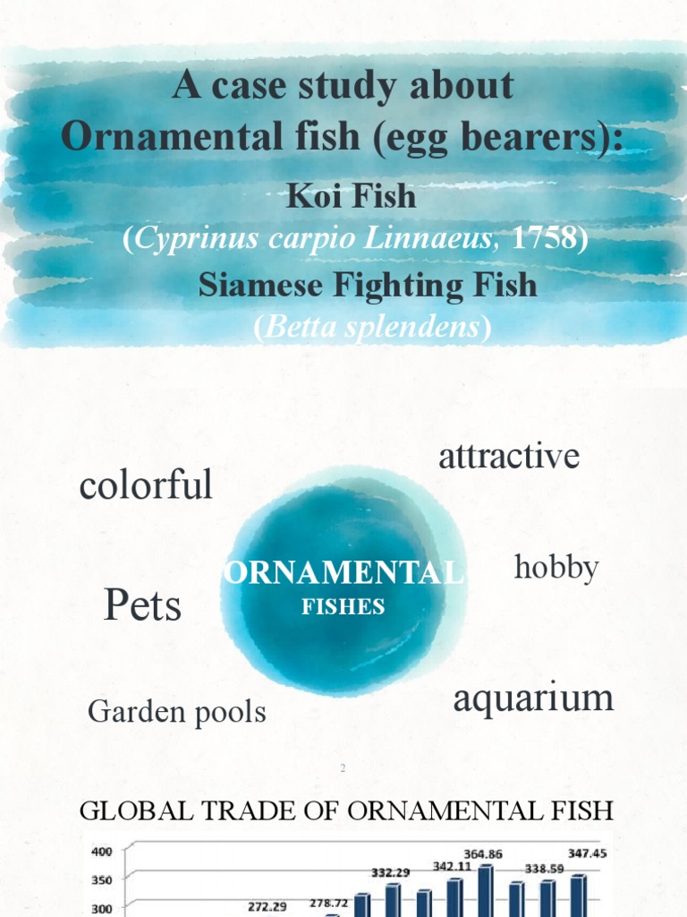 Case Study of Koi Fish | PDF | Fishkeeping | Fish And Humans