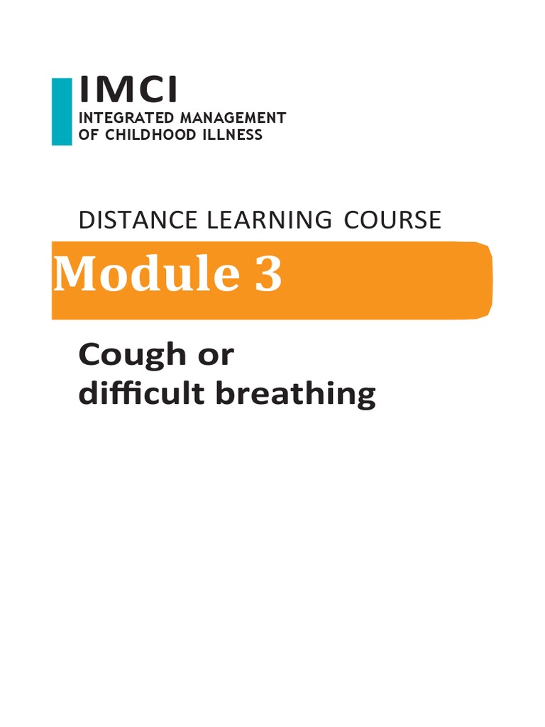 PNEUMONIA ASSESSMENT IMCI Booklet | PDF | Pneumonia | Cough