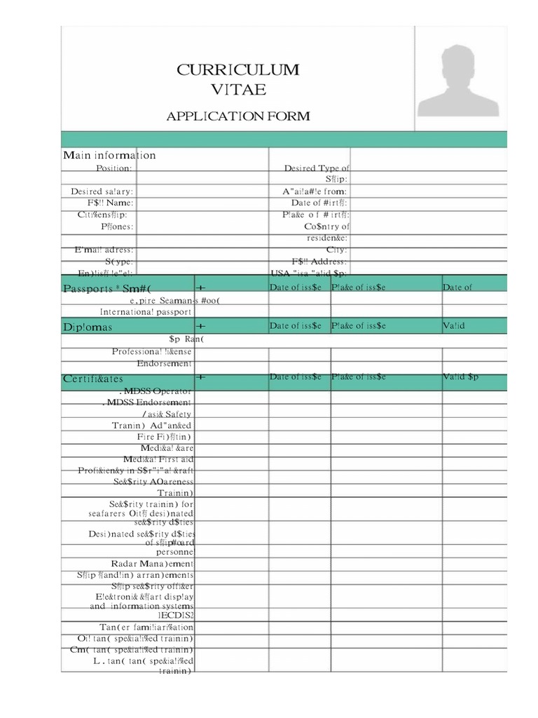 Curriculum Vitae: Application Form | PDF