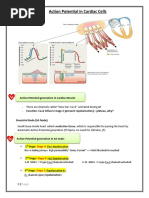 Oxford Stroke Classification: Also Known As Bamford Classification ...