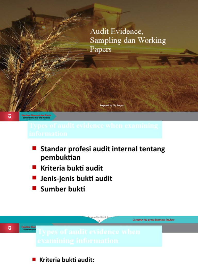 Types and Functions of Audit Evidence | PDF | Audit | Risk