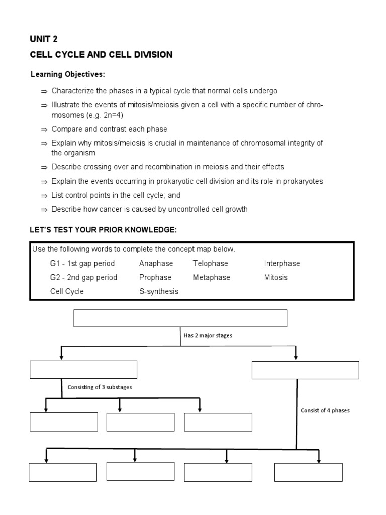 Gen Biology UNIT 2 - Lesson 1 | PDF | Mitosis | Meiosis