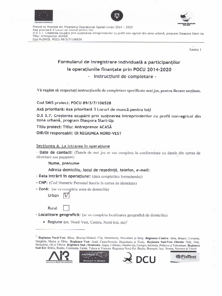 Anexa 1 - Instrucțiuni | PDF