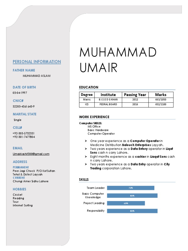 Umair CV PDF | PDF