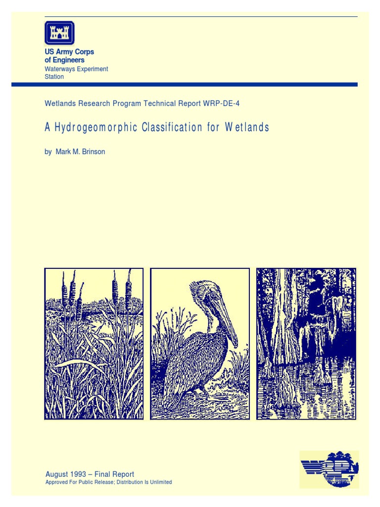 Hydrogeomorphic Wetland Classification | PDF | Wetland | Stream