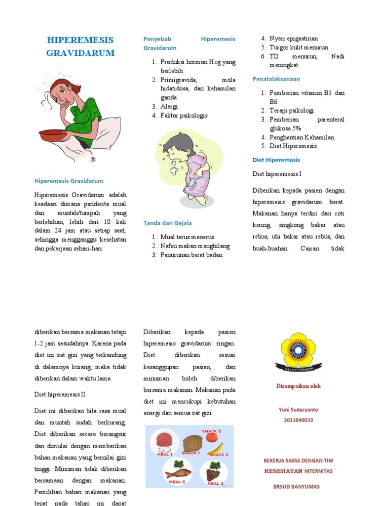 Leaflet Hiperemesis Gravidarum | PDF