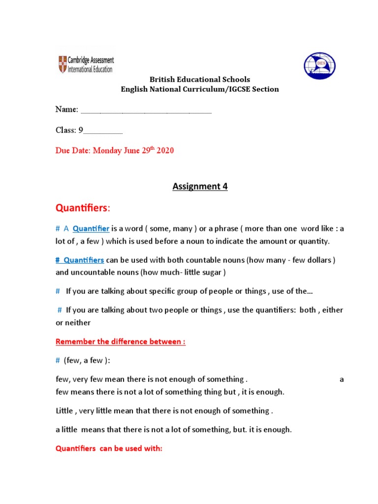 English Year 9 Assignment 4 - 9B1 - 9B3 | PDF | Noun | Quantity