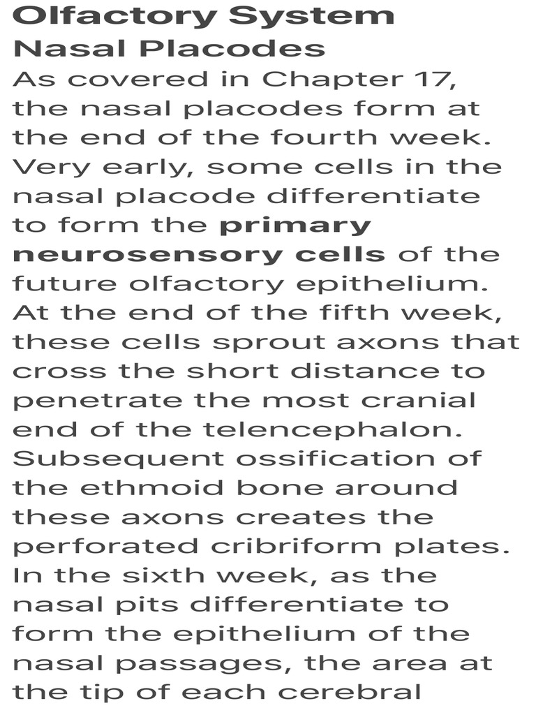Nasal Placodes: Neurosensory Cells of The | PDF