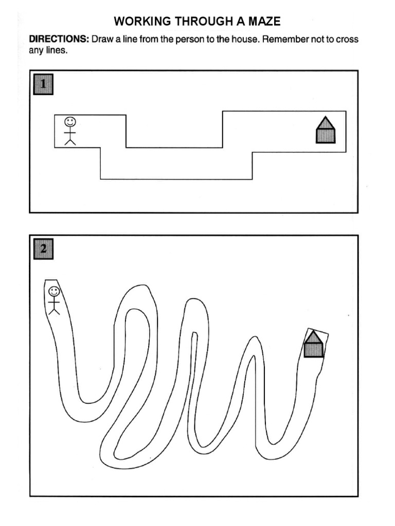 Working Through A Maze | PDF