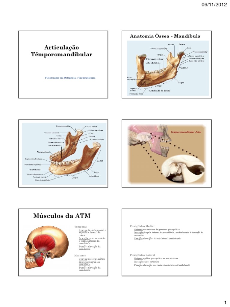 Prática - Avaliação Da ATM PDF | PDF | Anatomia humana | Cabeça e ...