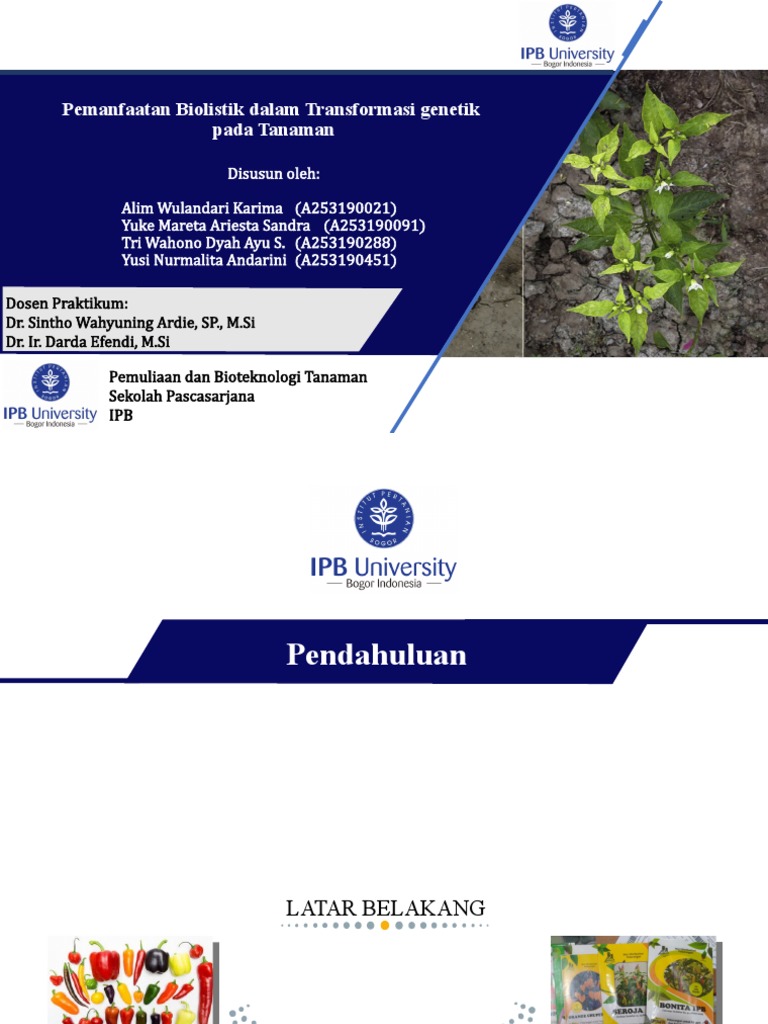 Paper Mutasi - Tri Wahono Dyah Ayu Sayekti-1 | PDF Paper Mutasi - Tri Wahono Dyah Ayu Sayekti-1 | PDF