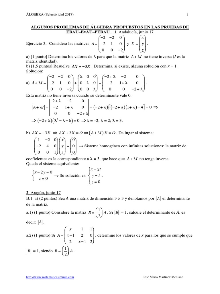 Examen Matrices | Descargar gratis PDF | Determinante | Matriz (Matemáticas)
