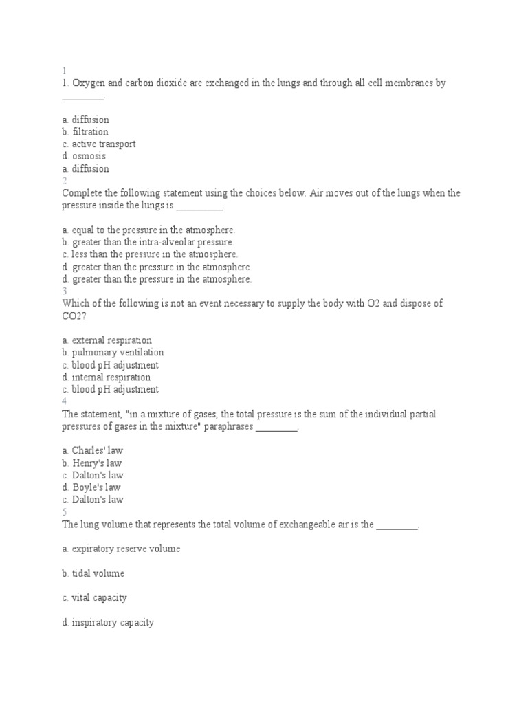 Respiratory System Study Guide | PDF | Respiratory System | Respiratory ...