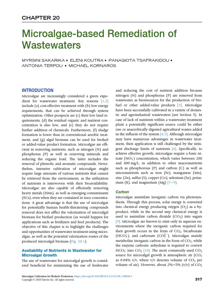 Microalgae-Based Remediation of Wastewaters: Availability of Nutrients ...