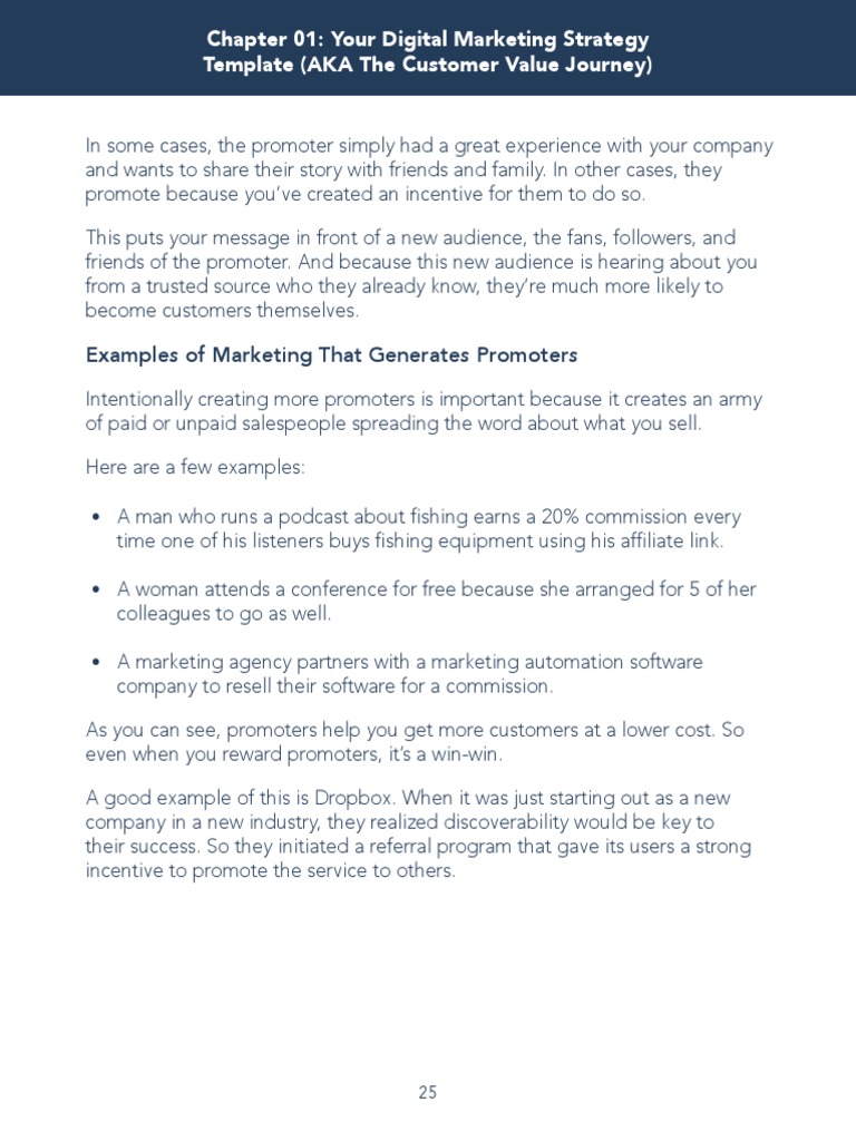 Examples of Marketing That Generates Promoters | PDF