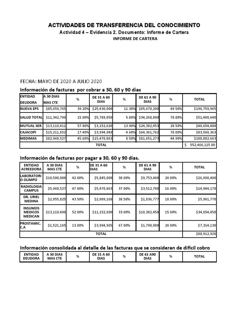 Informe de Cartera | PDF | Economias | Business