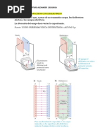 Manual Normas de Estructuras MT Normales | PDF | Electromagnetismo | Materiales de construcción
