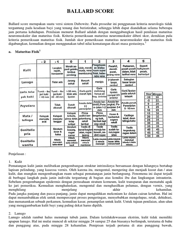 Interpretasi Skor Ballard pada Bayi | PDF