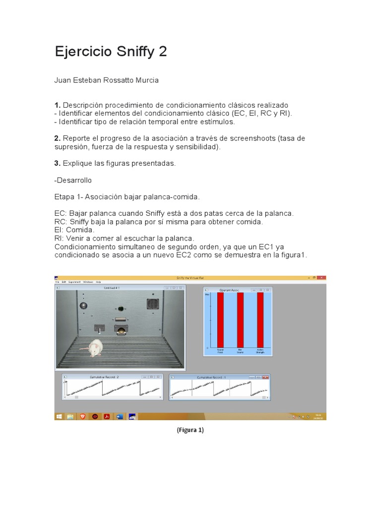 Ejercicio Sniffy 2 | PDF
