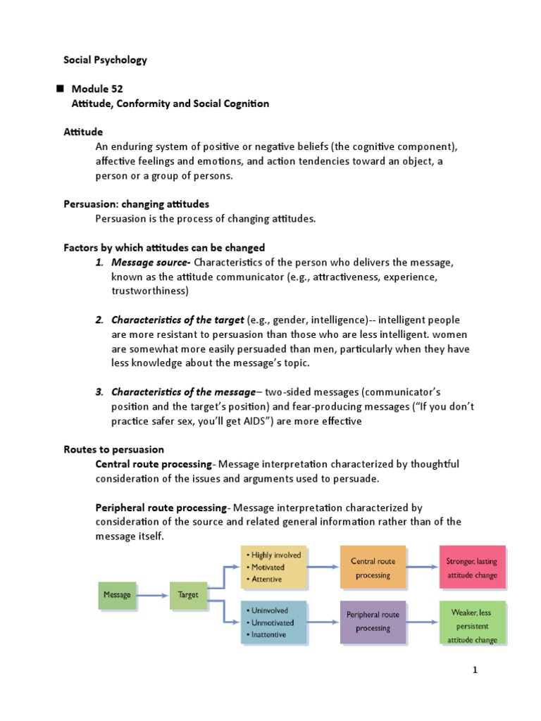 Message Source-Characteristics of The Person Who Delivers The Message ...