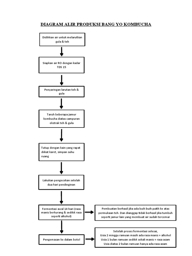 Diagram Alir Produksi | PDF