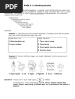 Middle School Lab Report Form | PDF